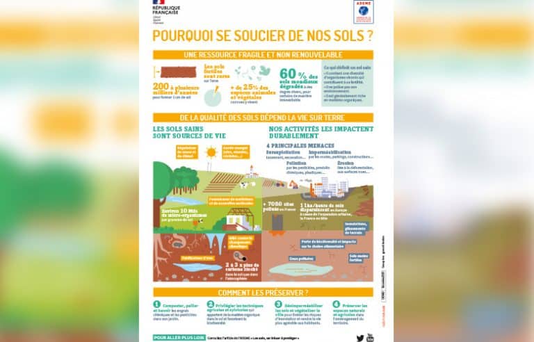 Pourquoi se soucier de nos sols ? - MtaTerre